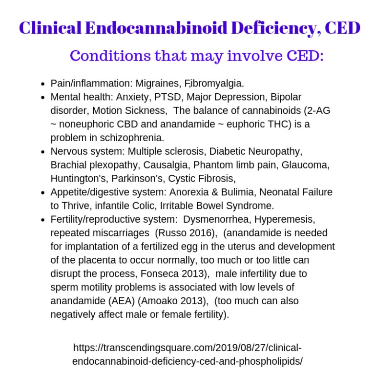 Clinical Endocannabinoid Deficiency, (CED), and phospholipids ...